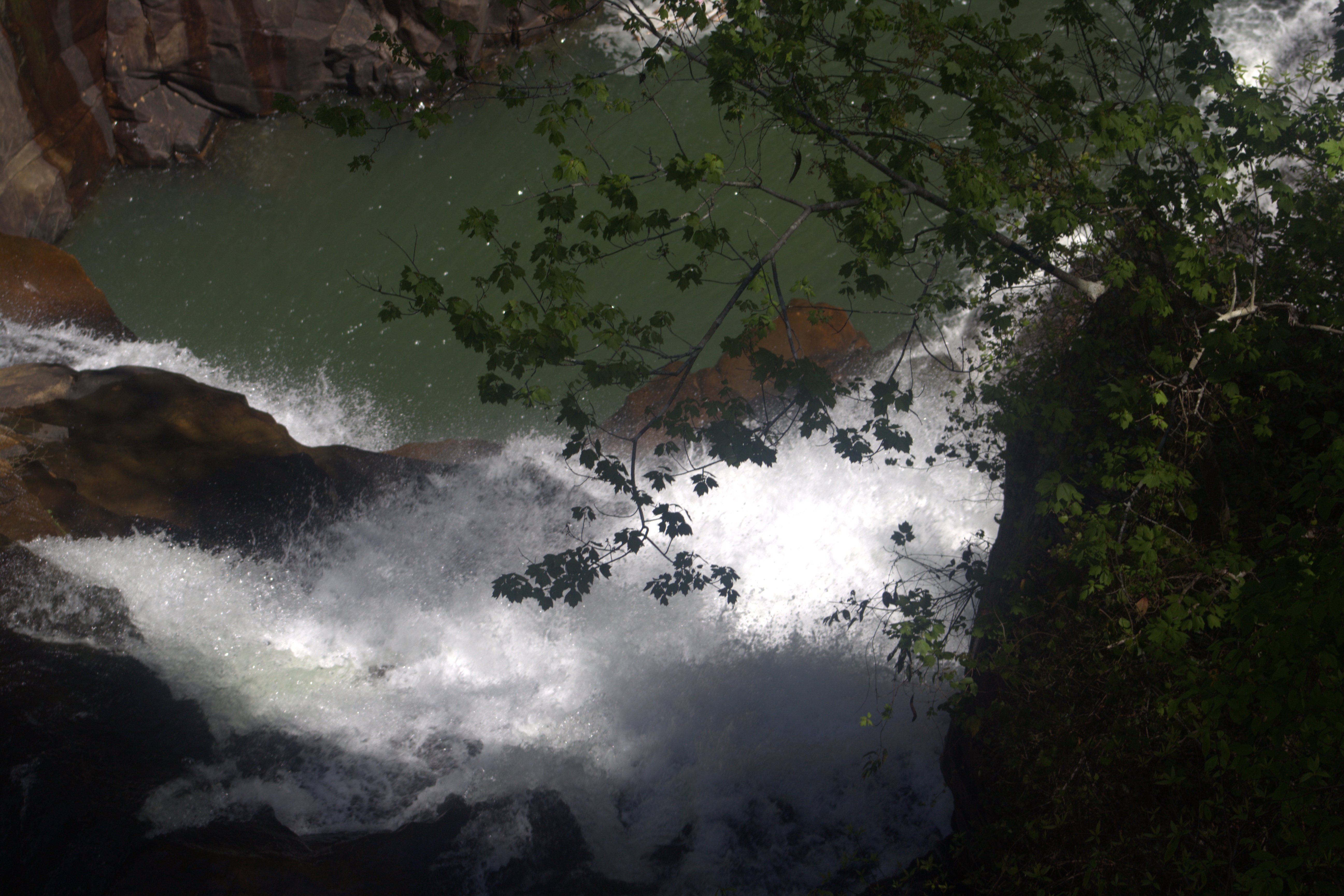 On the spot nature photography – Piedmont Photojournalists