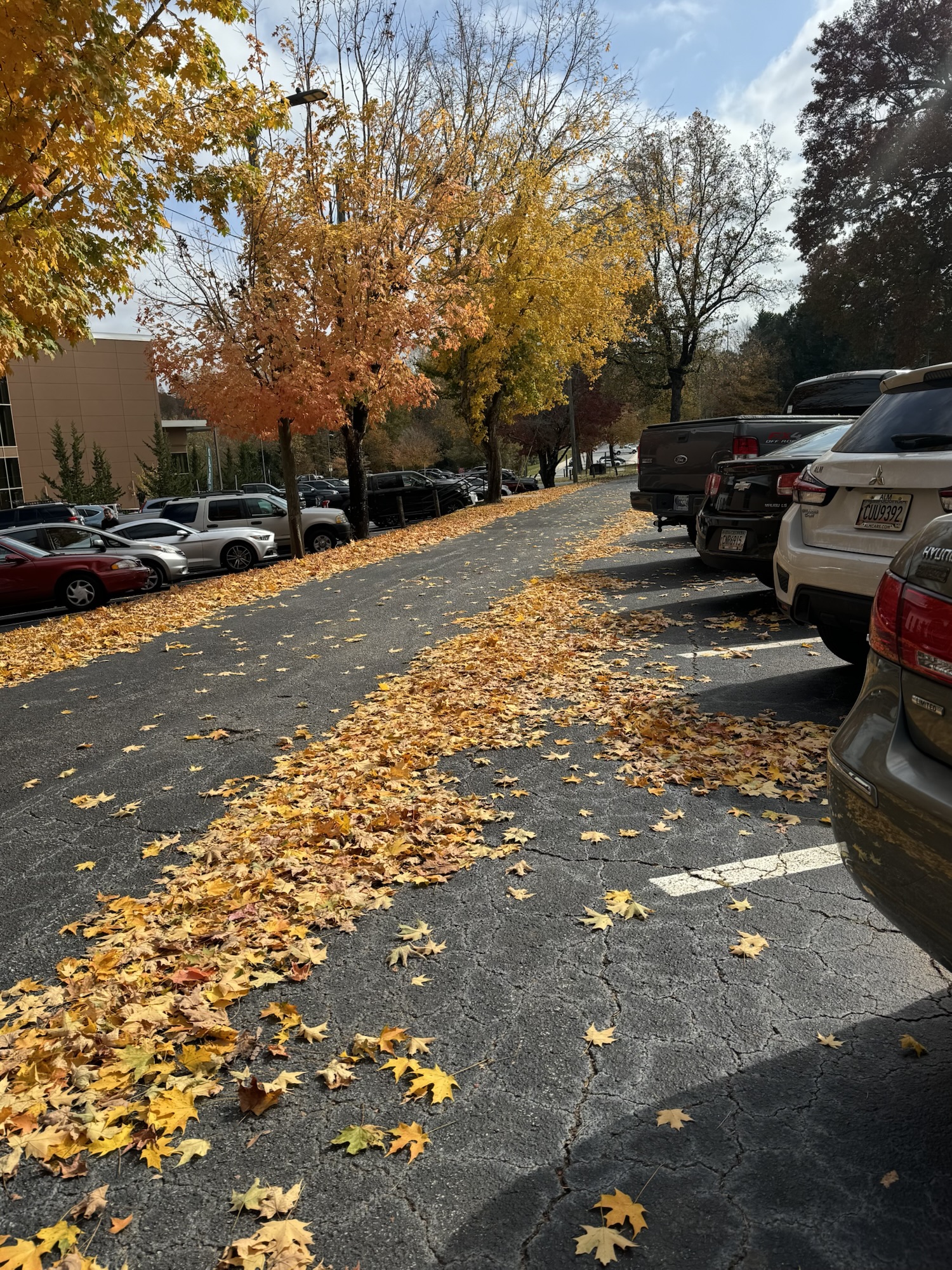 Fall Colors – Ansleigh – Piedmont Photojournalists
